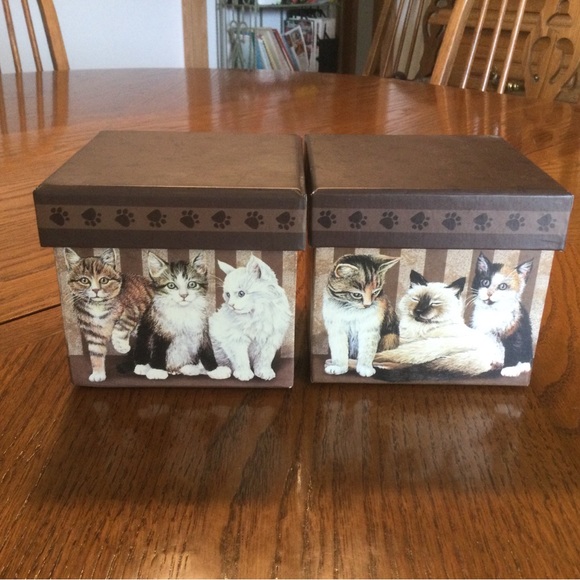 Accents | Kitty City 2 Square Cat Decorative Storage Boxes | Poshmark